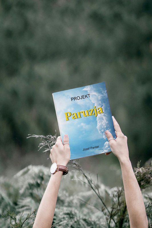 Refleksja nad standardowym myśleniem o paruzji - dialog myśli autora z ...